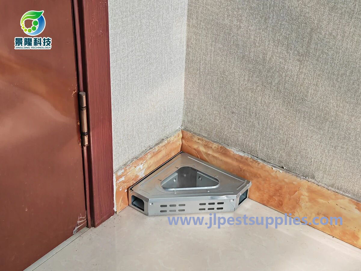 News - Triangular Window Mousetrap: A Powerful Tool for House Mouse ...